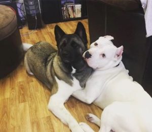 Drake Net worth, Age, Girlfriend, Family & More [2025] | Celebrities ...