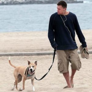 Channing Tatum: Bio, family, net worth | Celebrities InfoSeeMedia