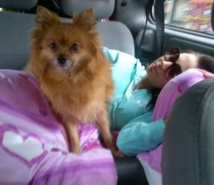 Tulisa Contostavlos : Bio, family, net worth | Celebrities InfoSeeMedia