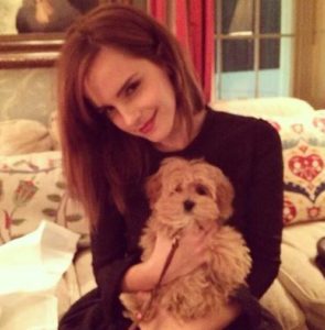 Emma Watson Net worth, Boyfriend, Age, Height, Family & More [Updated ...