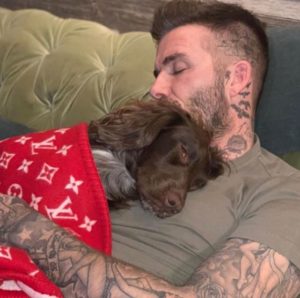 David Beckham: Bio, family, net worth | Celebrities InfoSeeMedia