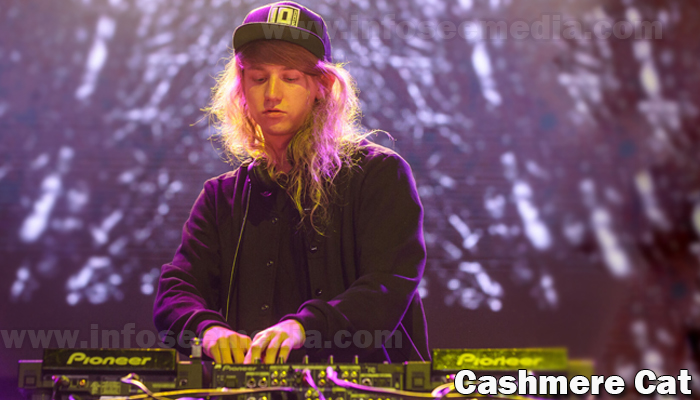 Cashmere Cat: Bio, family, net worth, age, height, and more