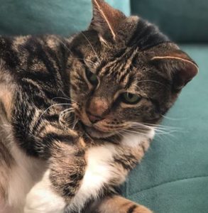 Elsie Fisher: Bio, family, net worth | Celebrities InfoSeeMedia