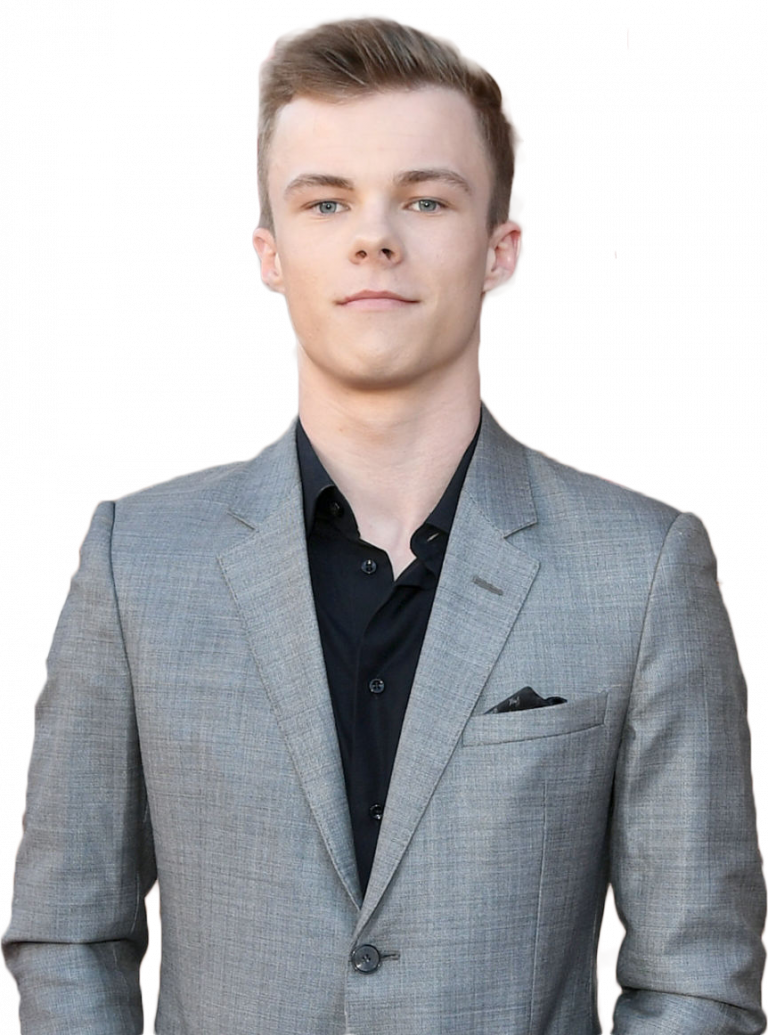 Nicholas Hamilton: Bio, family, net worth | Celebrities InfoSeeMedia
