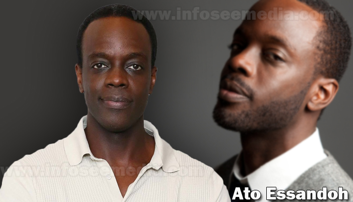 Ato Essandoh: Bio, family, net worth | Celebrities InfoSeeMedia