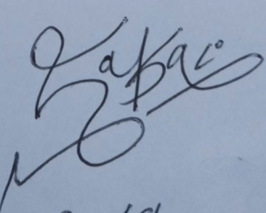 Sara Ali Khan: Bio, family, net worth | Celebrities InfoSeeMedia