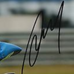 Álex Márquez: Bio, family, net worth