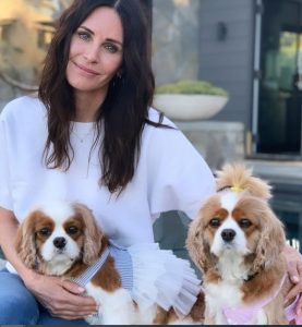 Courteney Cox : Bio, family, net worth | Celebrities InfoSeeMedia