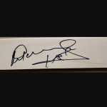 Kieron Pollard: Bio, family, net worth | Celebrities InfoSeeMedia