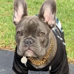 Cam Gallagher: Bio, family, net worth | Celebrities InfoSeeMedia