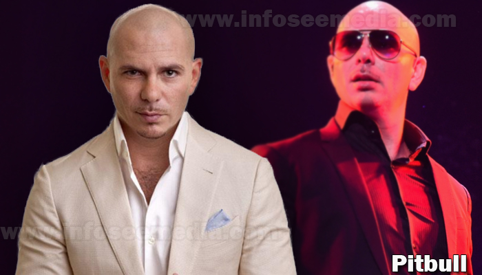 Pitbull: Bio, family, net worth | Celebrities InfoSeeMedia