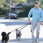 Ashton Kutcher: Bio, family, net worth