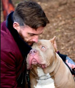 Aaron Chalmers : Bio, familly, net worth