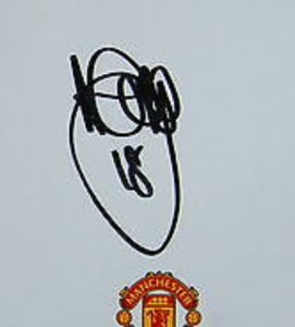 Ashley Young : Bio, family, net worth | Celebrities InfoSeeMedia