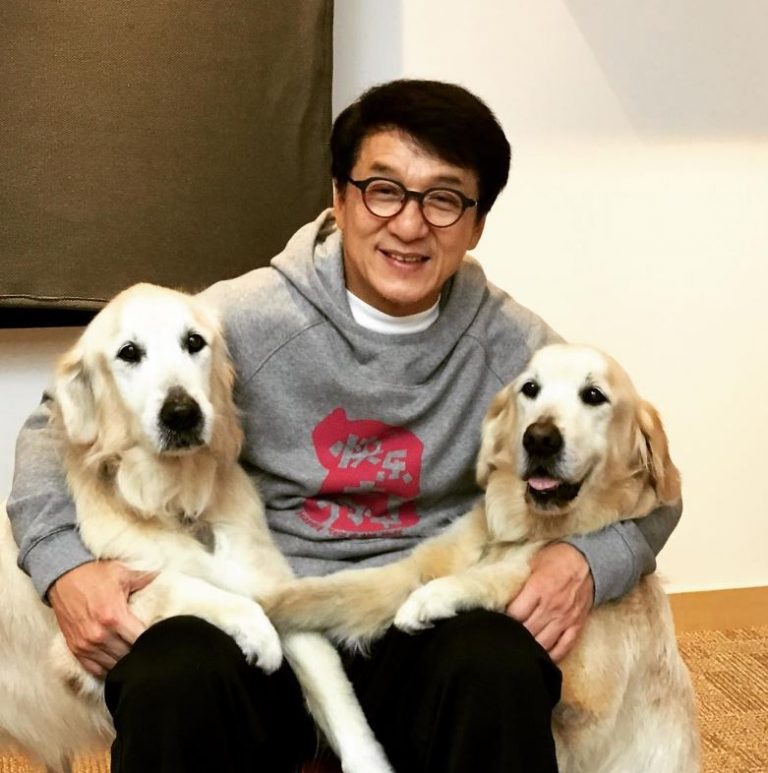 Jackie Chan Net worth, Age, Height, Son, Facts & More [2024] | Celebrities InfoSeeMedia